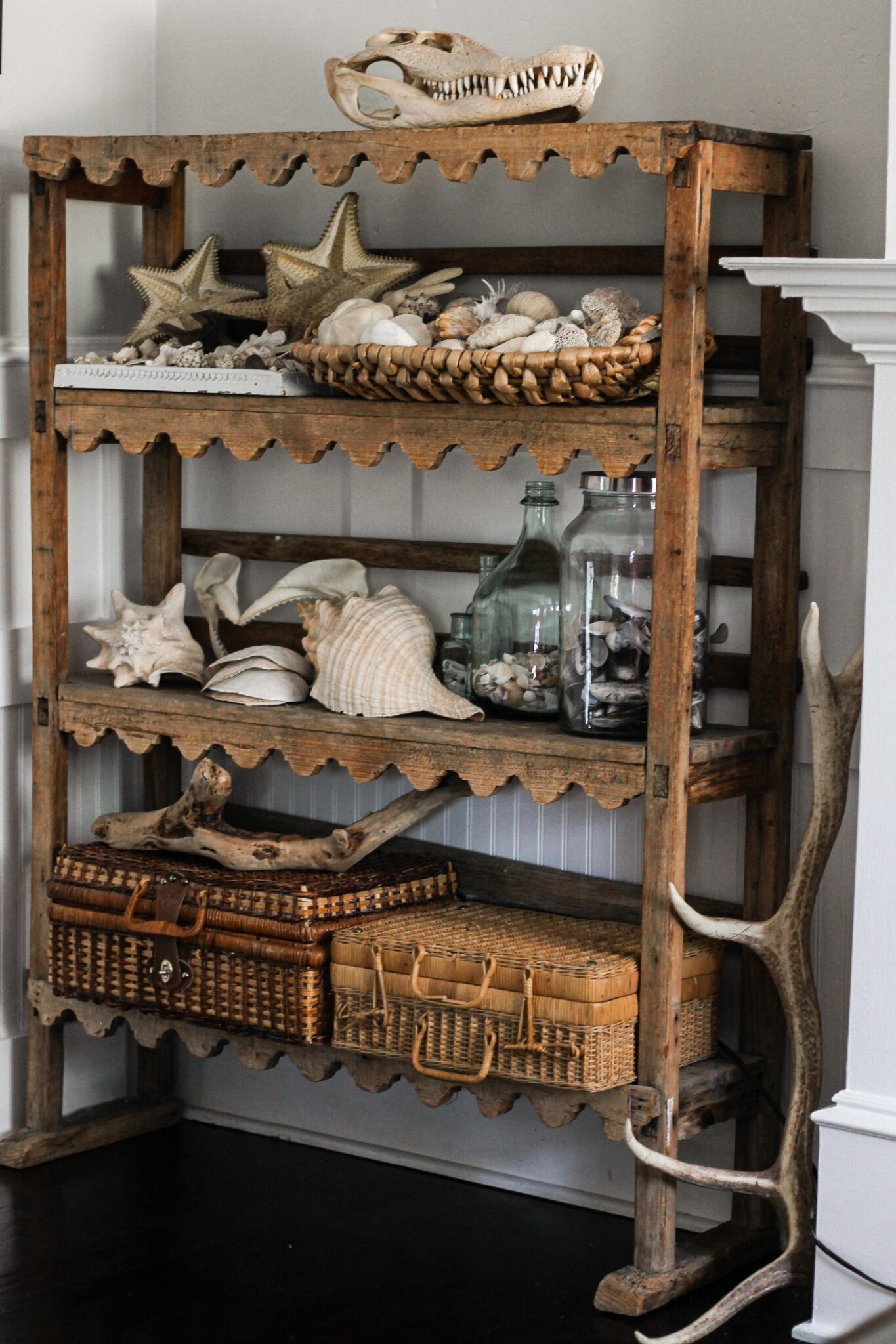 Curiosity Shelf - The Wicker House